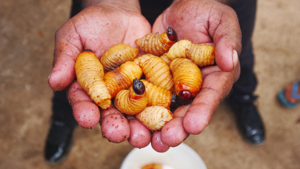 10 Exotic Must Try Food Around The World ‍- David's Been Here