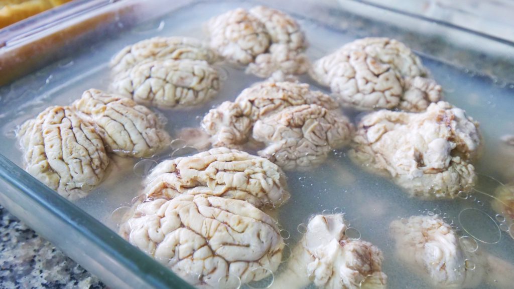 10 Exotic Must Try Food Around The World ‍- David's Been Here